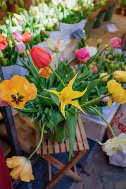 Amsterdam Sightseeing Hidden Gems Tastings Tour + PDF Guide - FAQs