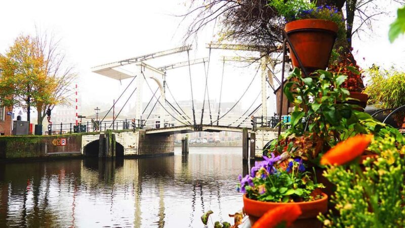 Amsterdam: Small-Group Hidden Gems Tour - The Layers of History and Society