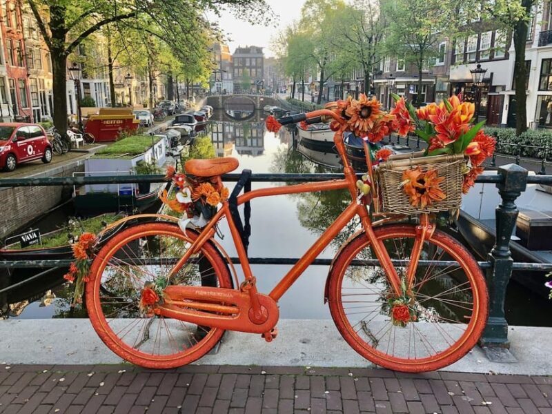 Amsterdam: Small Group Walking Tour with Fun Guide - Why Choose This Tour? An In-Depth Look