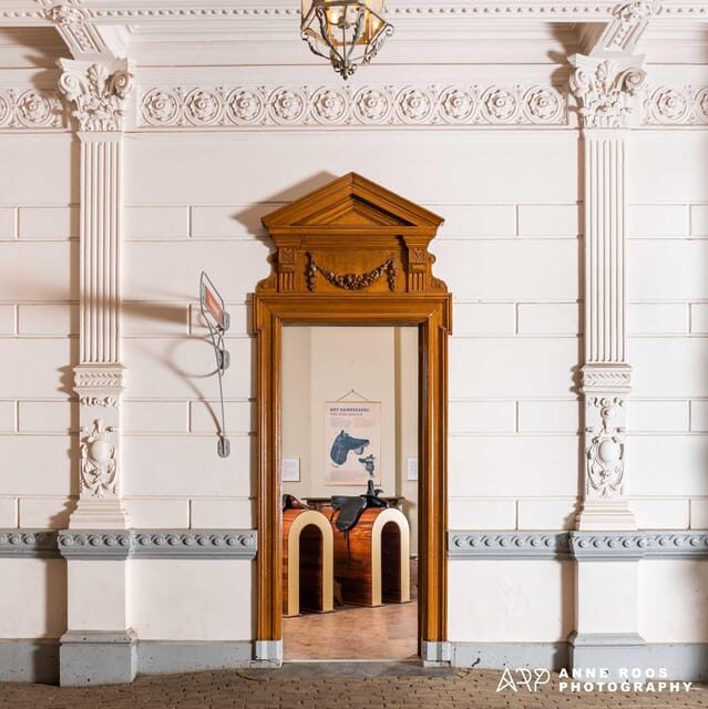 Amsterdam: The 'Hollandsche Manege' Stables Entry Ticket - The Experience: What You Can Expect
