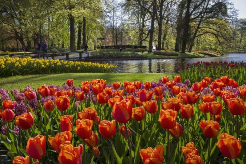 Amsterdam: Tour to Keukenhof Gardens with Windmill Cruise - Who Should Book This Tour?