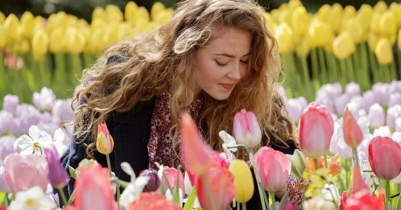 Amsterdam: Tulip Farm Visit, Keukenhof, and Windmill Cruise - A Detailed Look at the Experience