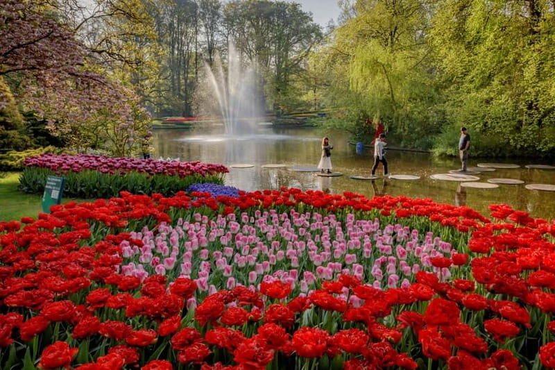 Amsterdam: Tulip Farm Visit, Keukenhof, and Windmill Cruise - FAQs