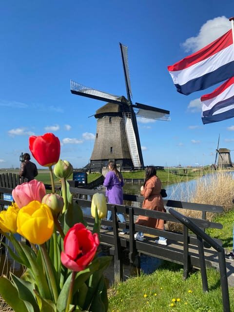 Amsterdam: Tulip Fields Day Tour with Lunch & Windmill - Who Will Love This Tour?