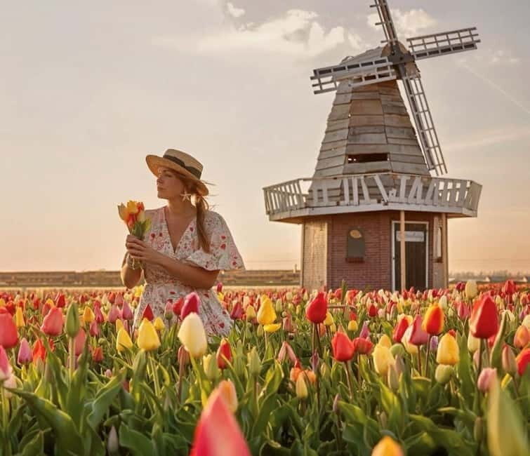 Amsterdam : Tulip Wonderland Tour - Key Points