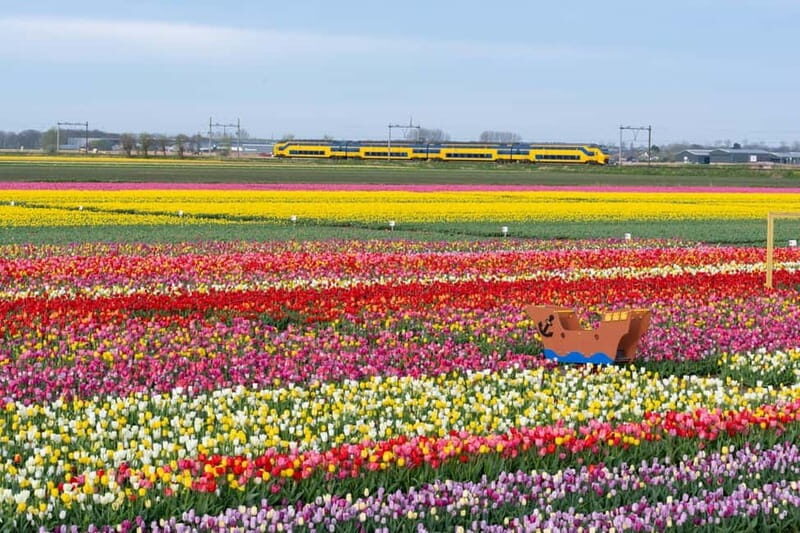 Amsterdam : Tulip Wonderland Tour - The Practical Side: Transport and Accessibility