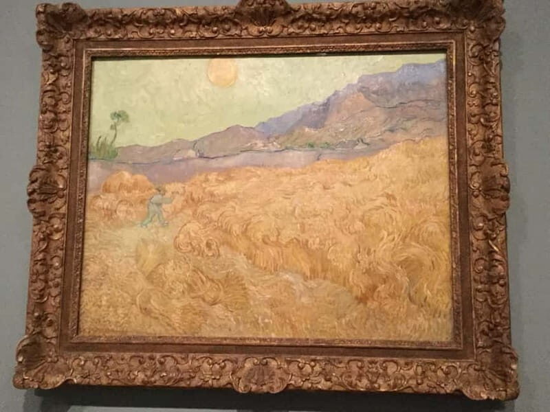 Amsterdam: Van Gogh Museum. Small Group Tour. - Who Will Benefit Most?