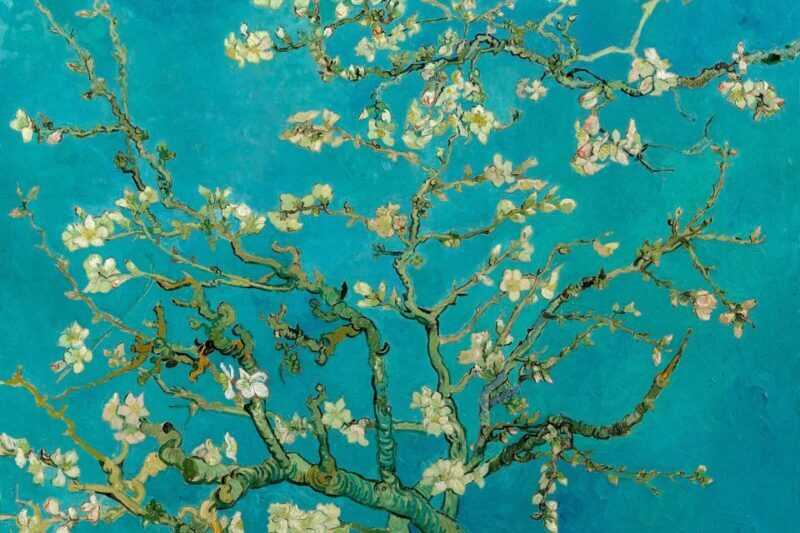 Amsterdam: Van Gogh Museum Ticket and City Canal Cruise - An In-Depth Look at What You’ll Experience