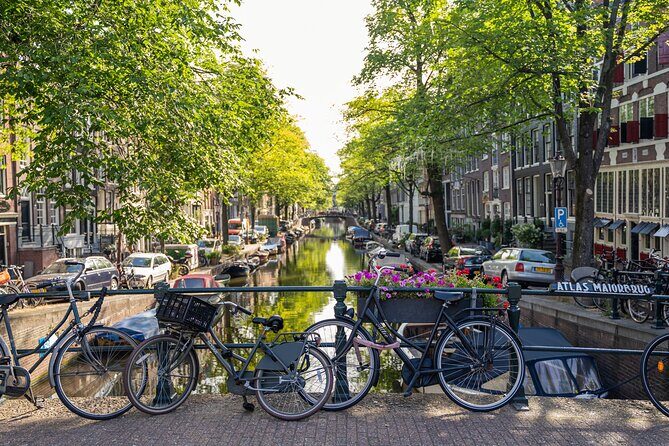 Amsterdam Walking Tour and Cruise with Drinks and Cheese Tasting - Who Should Consider This Tour