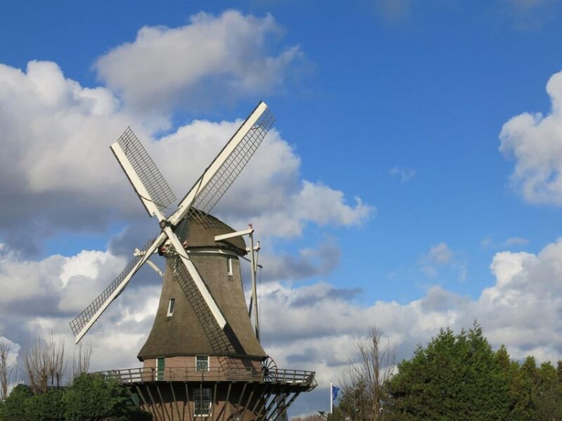 Amsterdam: Windmill Guided Tour - Overview of the Windmill Tour Experience