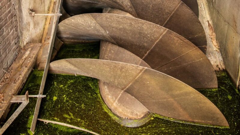 Amsterdam: Windmill Guided Tour - Authenticity and Family-Friendly Atmosphere