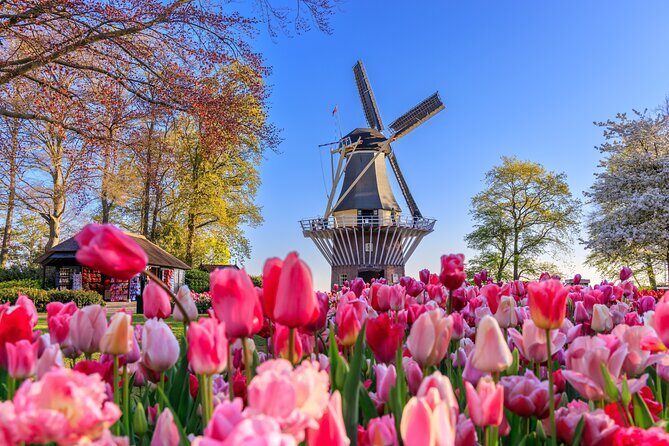 Amsterdam: Windmills, Marken, Volendam and Guided Keukenhof Visit - Considerations and Possible Drawbacks
