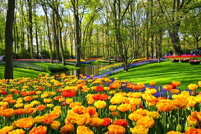 Amsterdam: Windmills, Marken, Volendam and Guided Keukenhof Visit - Who Will Love This Tour?