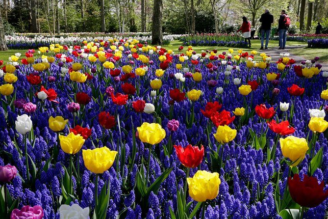 Amsterdam: Windmills, Marken, Volendam and Guided Keukenhof Visit - Final Thoughts