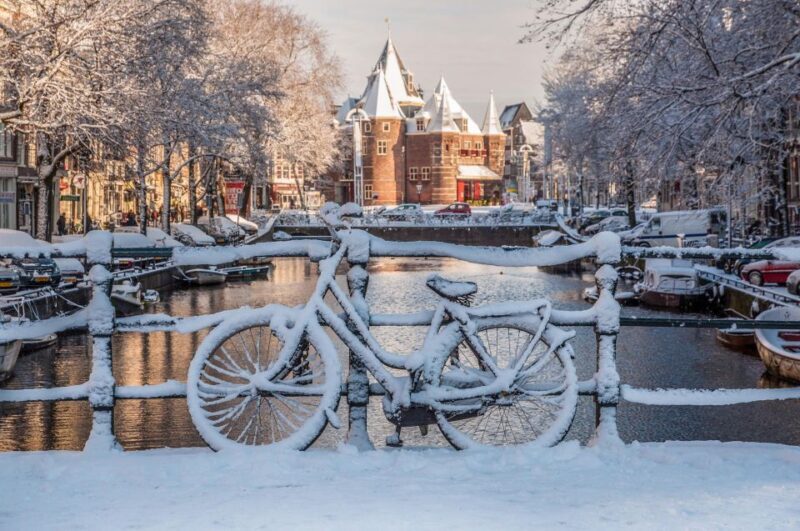 Amsterdam Winter Walking Tour - Who Will Love This Tour?