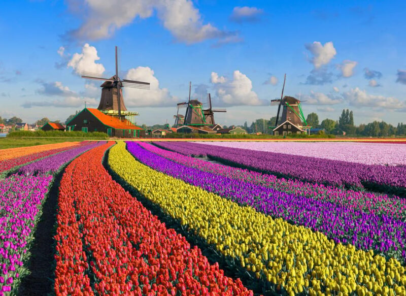 Amsterdam: Zaanse Schans, The Hague & Rotterdam Tour - An All-Encompassing Dutch Day Trip