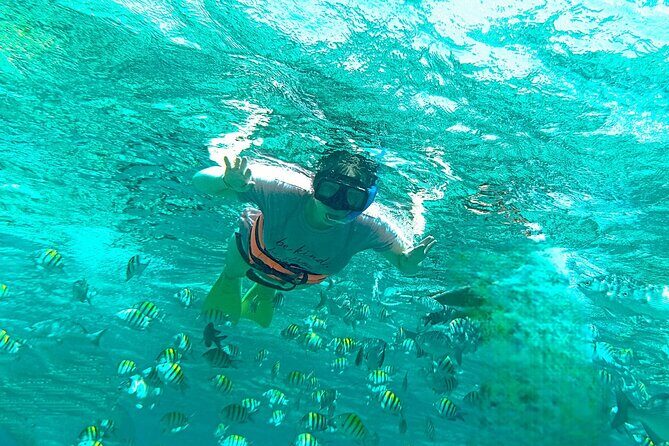 Amusing Catamaran trip to Isla Mujeres + Open bar + Ice Bar - Setting Sail: What the Itinerary Looks Like