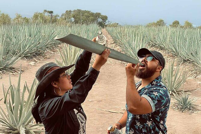 An adventure for the senses: Mezcal, fields and crafts. - Who will love this tour?