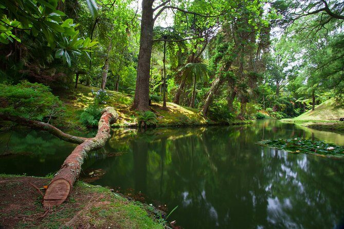 An Adventure Through the EAST of São Miguel island - An Adventure Through the EAST of São Miguel Island