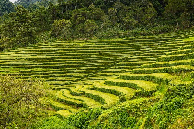 An Adventure Through the EAST of São Miguel island - FAQ