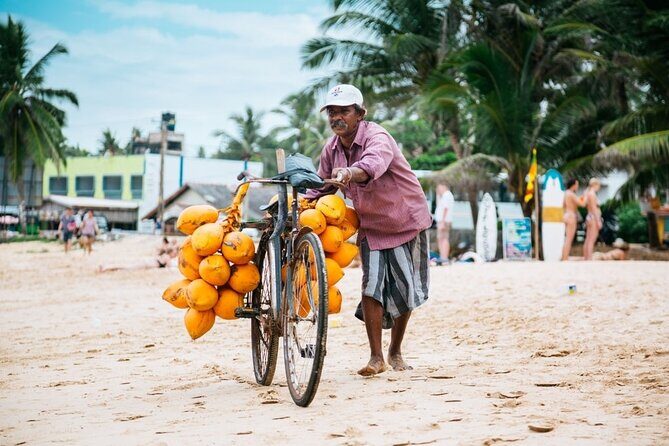 An amazing Beach Tour in Sri Lanka - Who Should Consider This Tour?