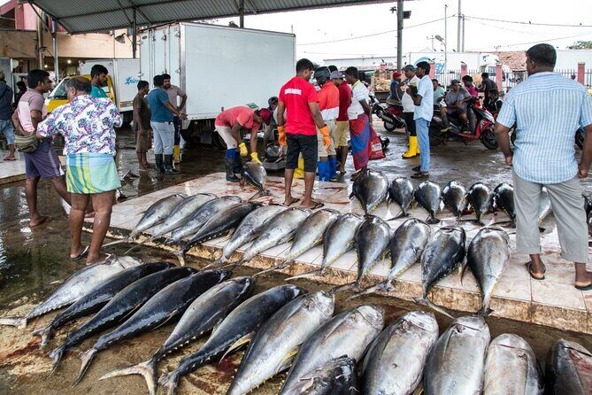 An amazing Beach Tour in Sri Lanka - FAQs