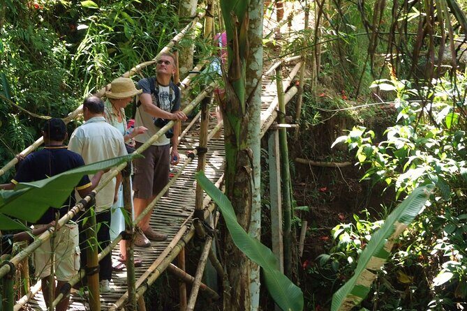 An Eco-Walk through Green Bali - A Detailed Look at the Eco-Walk Experience