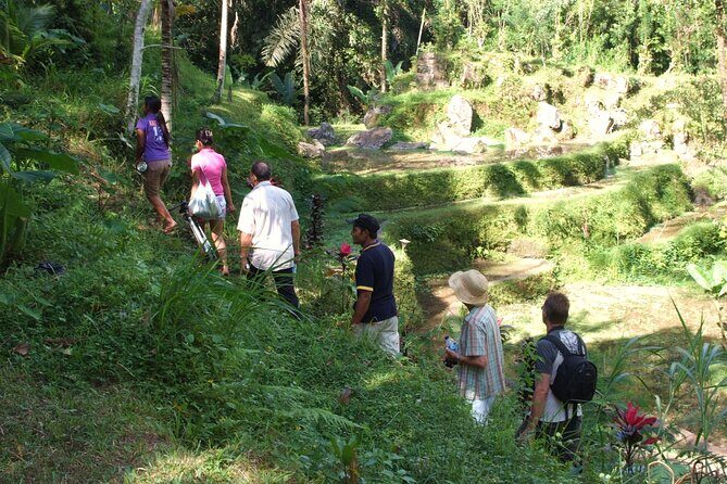 An Eco-Walk through Green Bali - What’s Included and What’s Not?