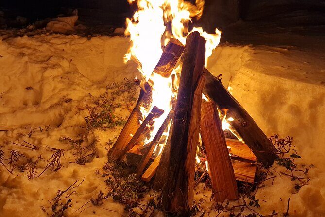 An Evening in the Backcountry, Northern Lights on a Sleighride - Who Should Book This?