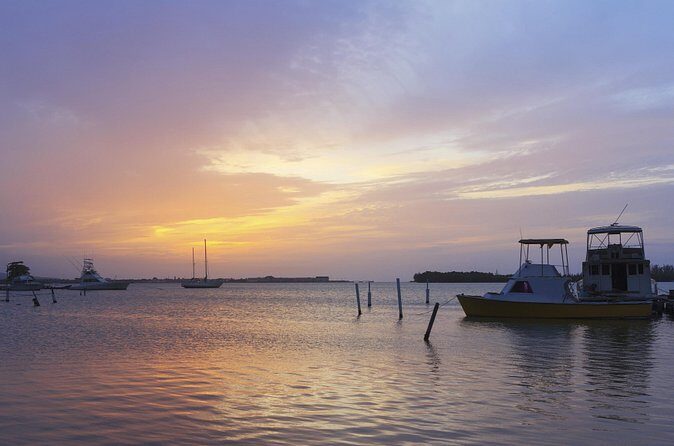 An Evening on the Lagoon: Martha Rafting, Luminous Lagoon and Falmouth Highlight - The Experience’s Strengths