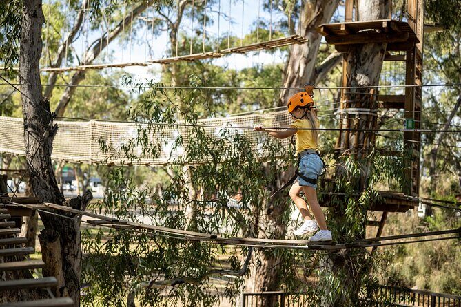 An exciting, Tree Top Adventure for Our Littlest Adventurers - An Authentic Tree Top Experience in Adelaide