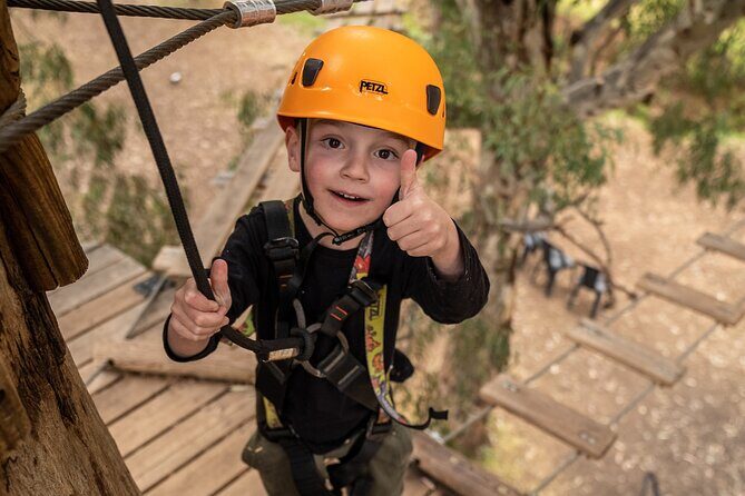 An exciting, Tree Top Adventure for Our Littlest Adventurers - Accessibility and Practical Details