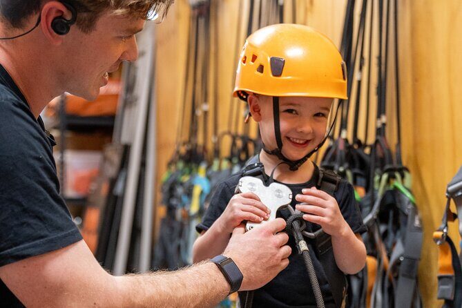 An exciting, Tree Top Adventure for Our Littlest Adventurers - The Sum Up: Who Will Love This?