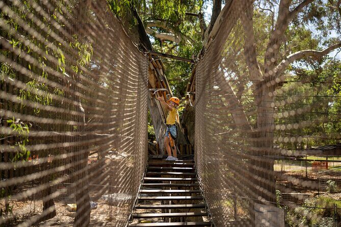 An exciting, Tree Top Adventure for Our Littlest Adventurers - FAQs