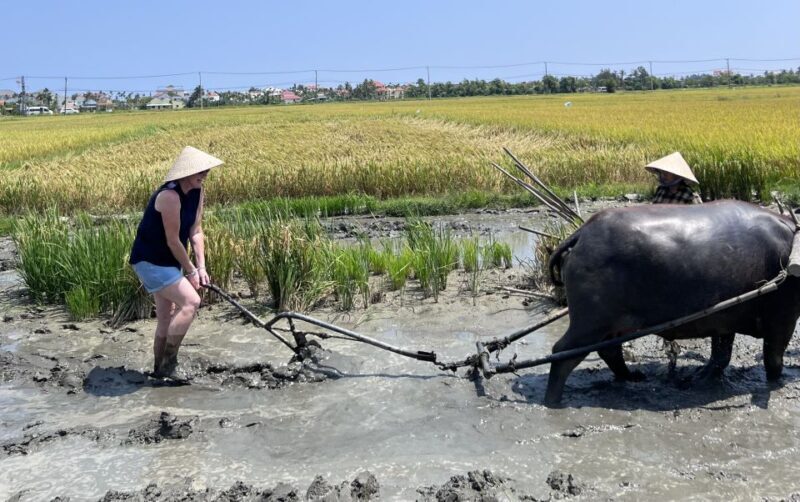 An incredible Hoi An - Water buffalo riding & cooking class - Frequently Asked Questions
