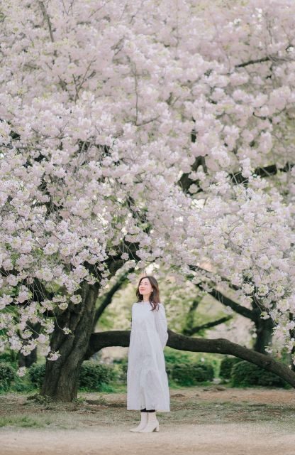 An Intimate Journey Through Tokyo's Hidden Gems with Mimi - Who Will Love This Experience?