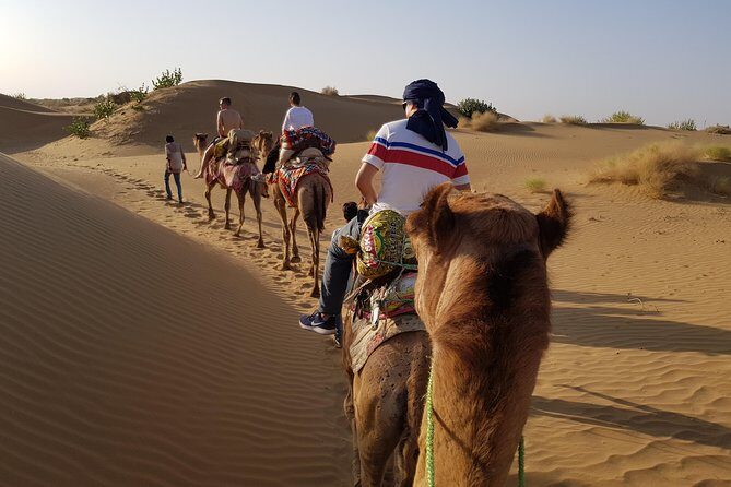 An Overnight Non-touristic Camel Safari (2PM to 11:30 AM Next Day) - Practical Tips for Prospective Travelers