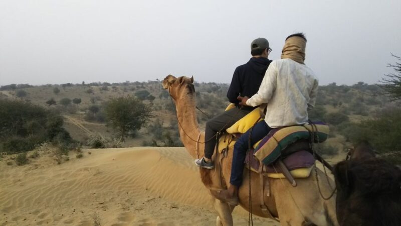An Unforgettable Camel and Jeep Safari in Osian Villlage - Who Should Consider This Tour?
