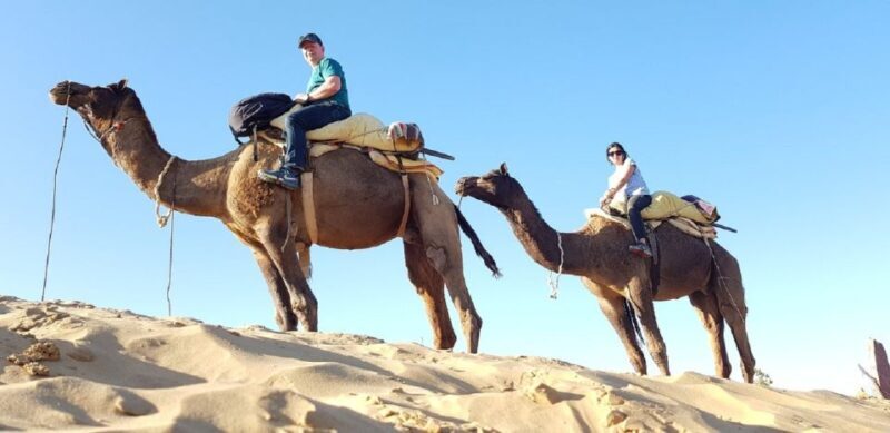 An Unforgettable Camel and Jeep Safari in Osian Villlage - The Sum Up