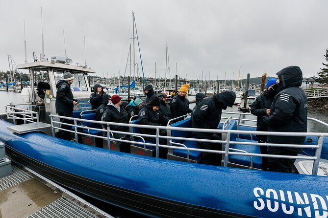 Anacortes Whale Watching Adventure Tour - Zodiac Boat - Why You’ll Love This Tour