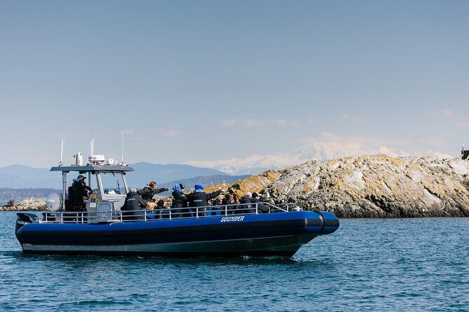 Anacortes Whale Watching Adventure Tour - Zodiac Boat - Final Takeaway