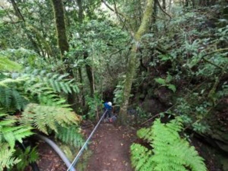 Anaga Canyoning - Introduction: An Adventure Beneath Tenerife’s Canopy