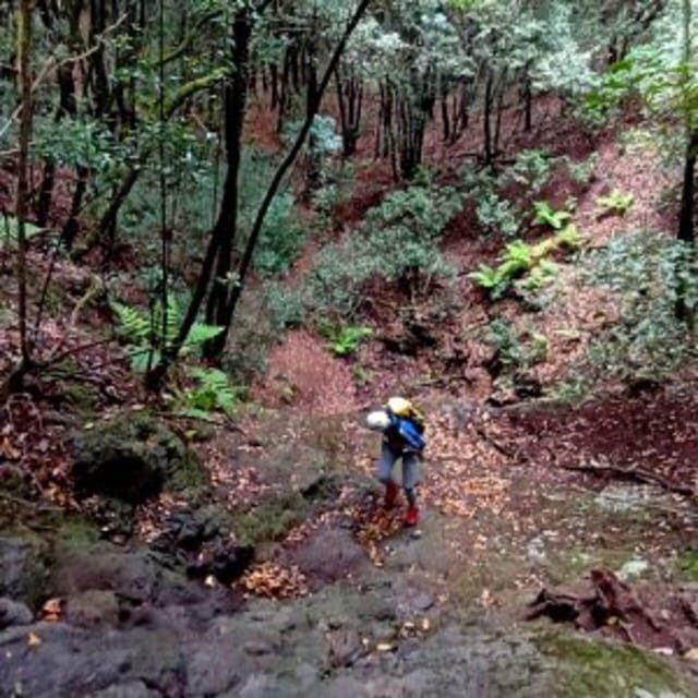 Anaga Canyoning - The Cost and Value