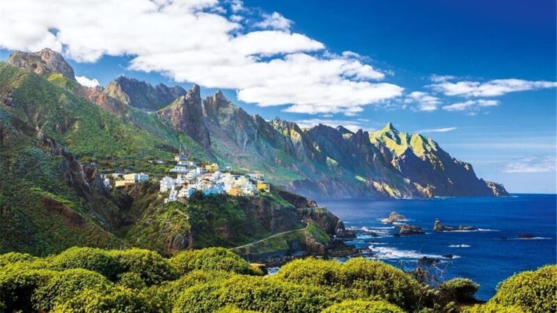 Anaga, La Laguna and Tacoronte-Acentejo - Forests, history and wines: VIP Tour - A Closer Look at the Tenerife VIP Tour