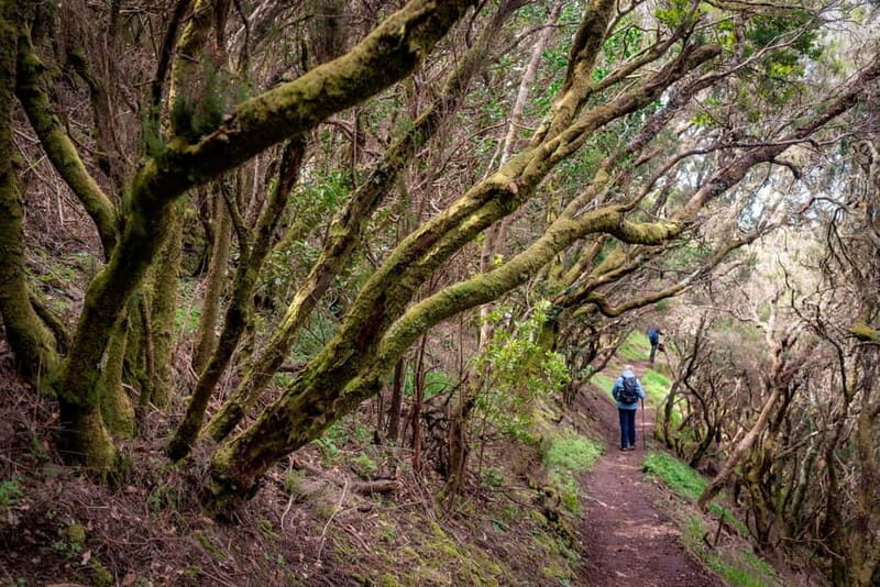 Anaga Mountains Tenerife - Chamorga Guided Hike - Key Points