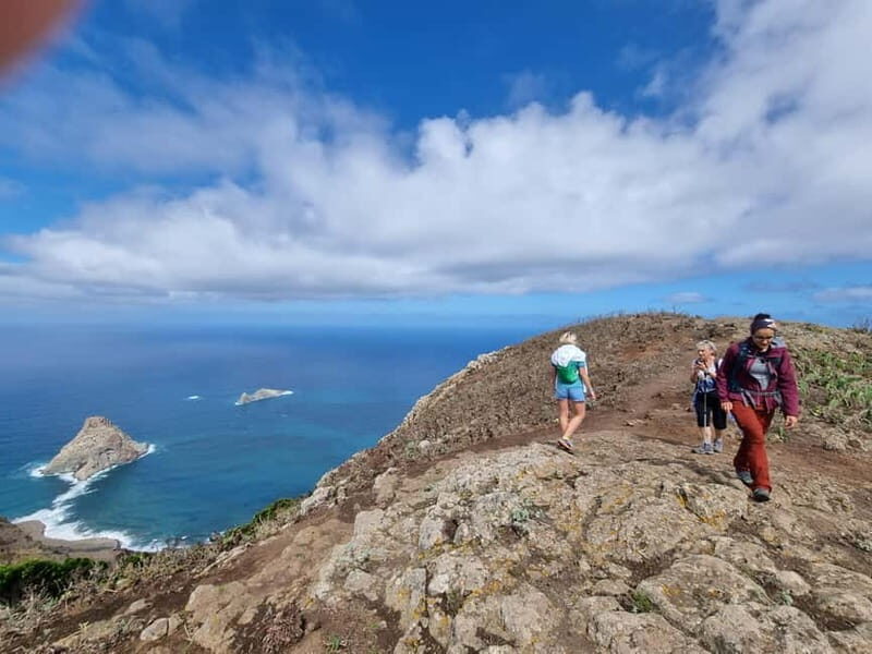 Anaga Mountains Tenerife - Chamorga Guided Hike - Who Should Consider This Tour?