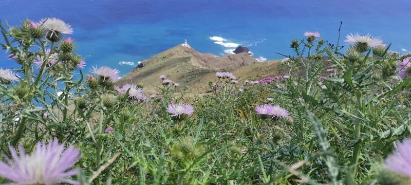 Anaga Mountains Tenerife - Chamorga Guided Hike - Final Thoughts: The True Value of This Experience