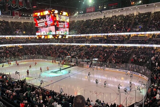 Anaheim Ducks Ice Hockey Game at Honda Center - Who Should Consider This Tour?