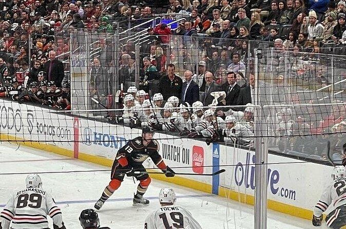Anaheim Ducks Ice Hockey Game at Honda Center - The Sum Up