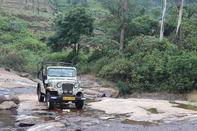 Anakulam Wild Elephant Village life tour ( By Munnar Info) - Exploring the Itinerary in Depth